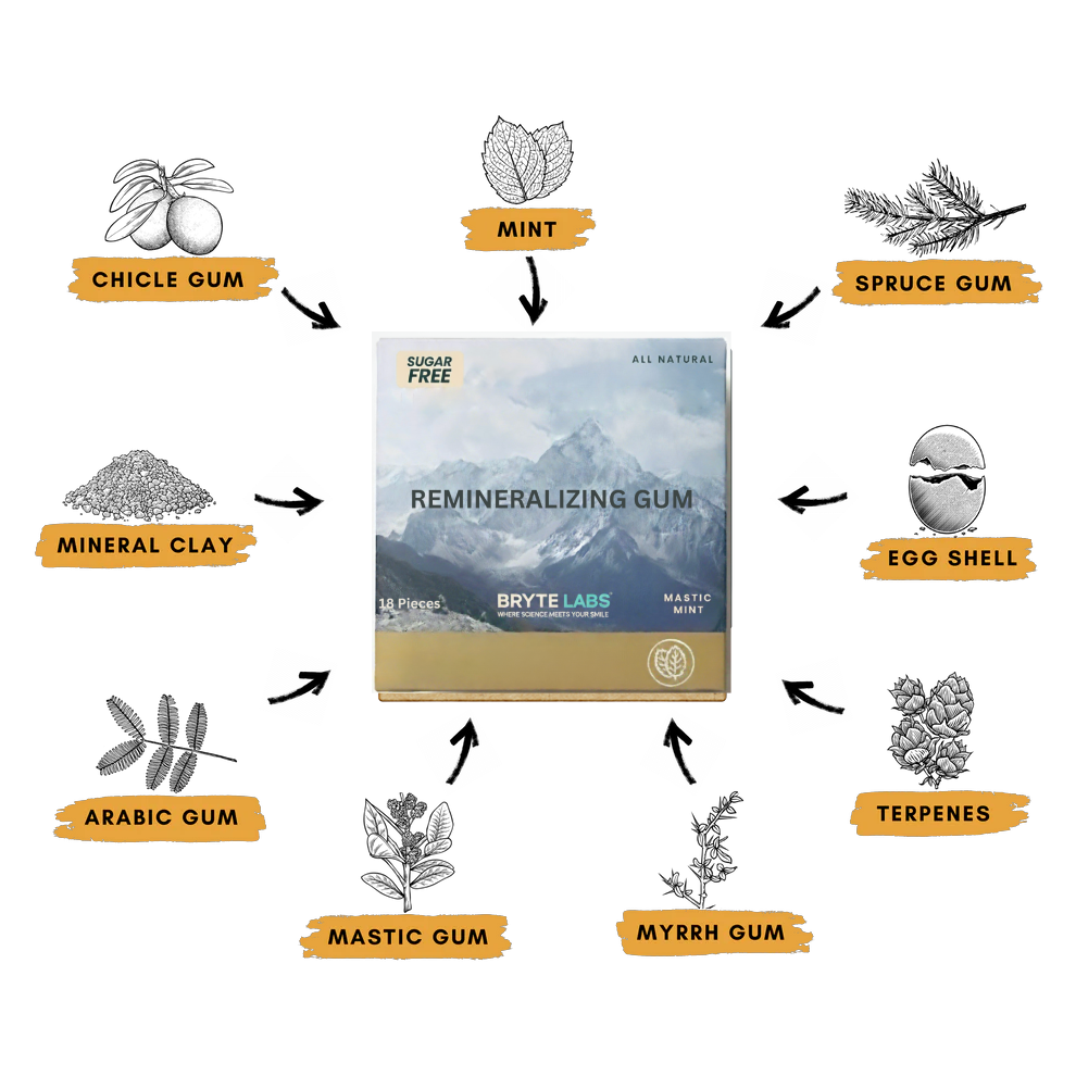 English – Bryte Labs